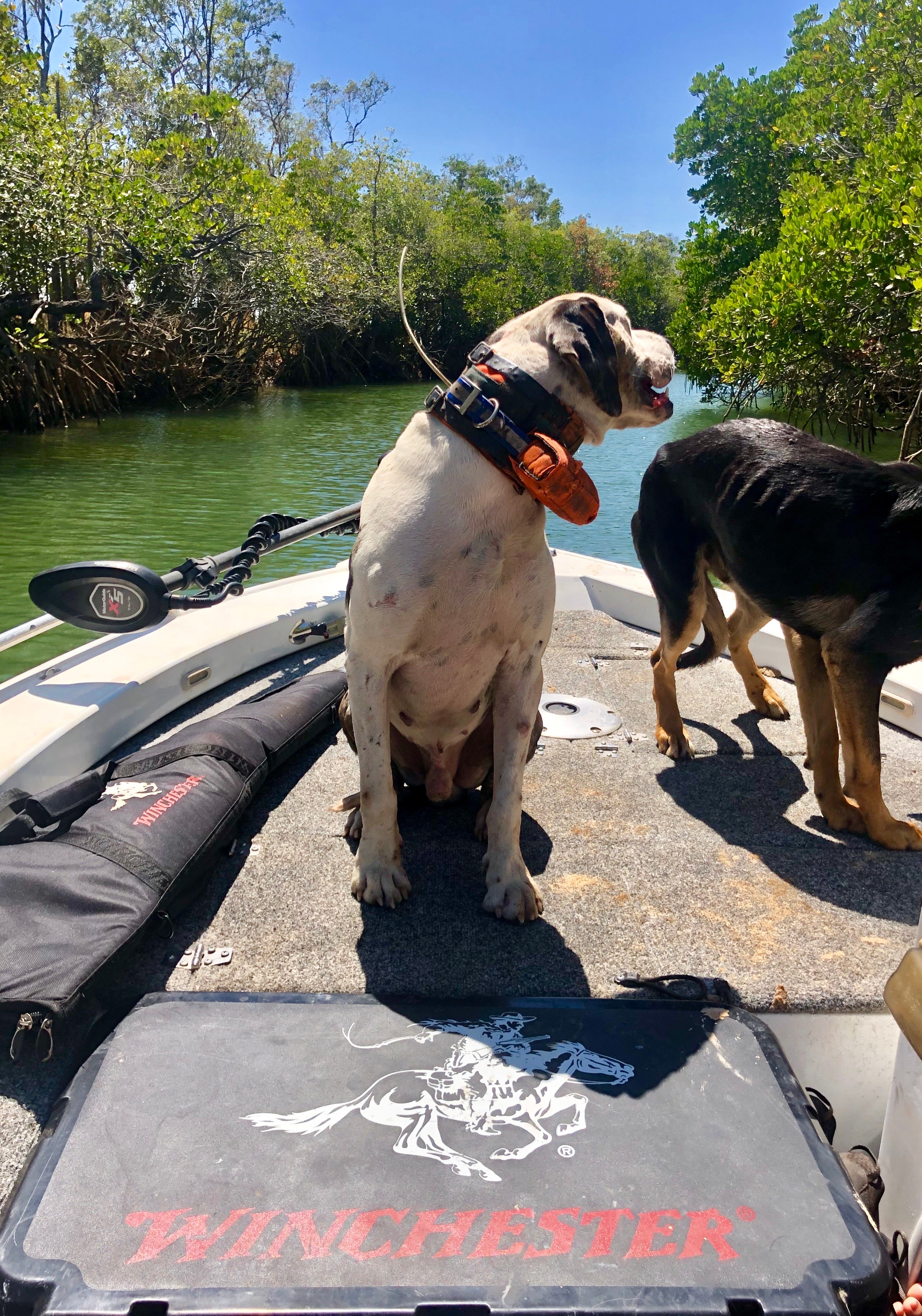 GEAR BAGS – Hogs Dogs Quads Shop