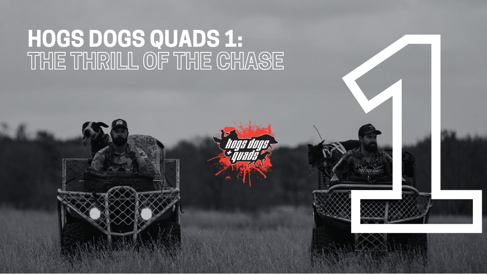 Hogs Dogs And Quads Shop – Hogs Dogs Quads Shop