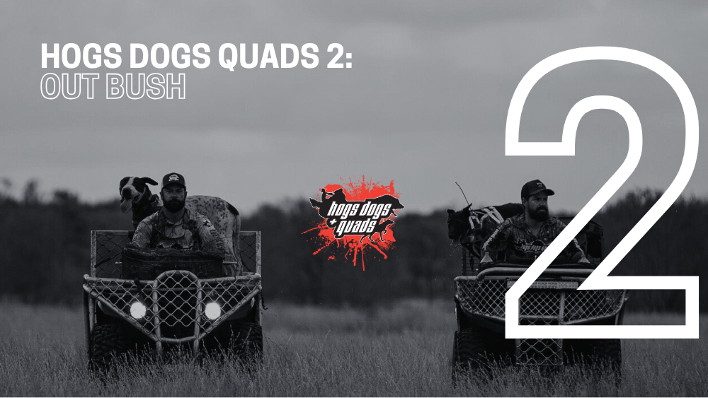 HDQ TV Home – Hogs Dogs Quads Shop